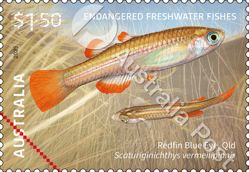 Endangered Freshwater Fishes | Australia Post Collectables