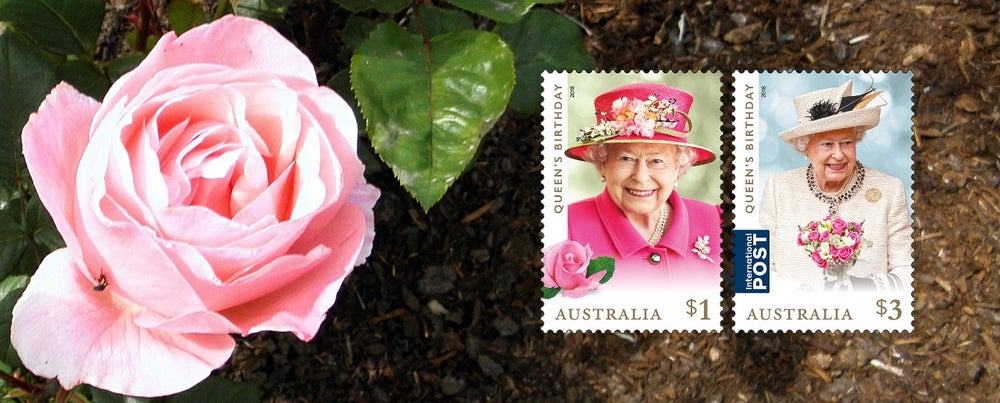 The Queen Elizabeth Rose | Australia Post Collectables